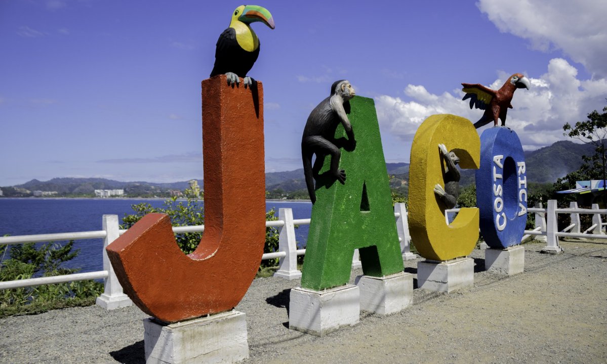 Gallery Jaco