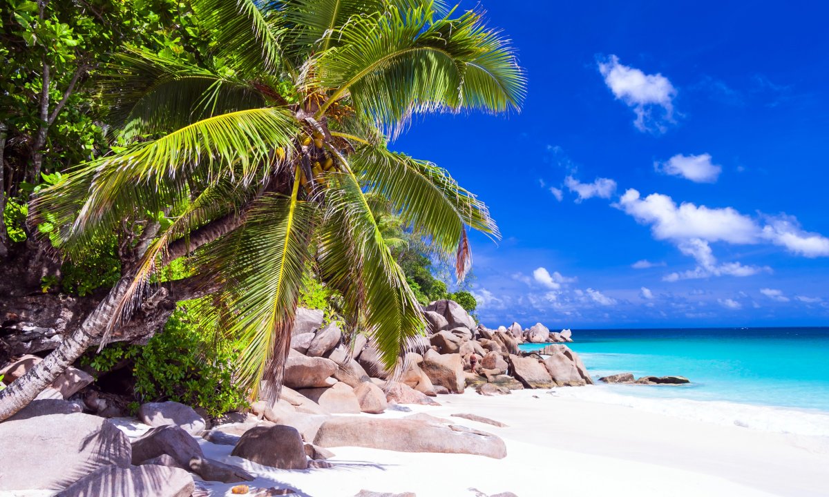 Gallery Praslin