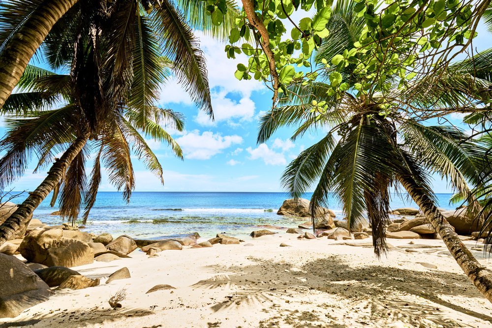 Gallery Praslin